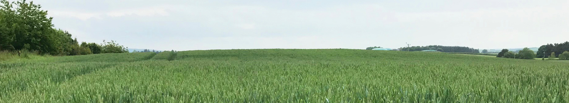 Tenant Farming - Our work - Scottish Land Commission