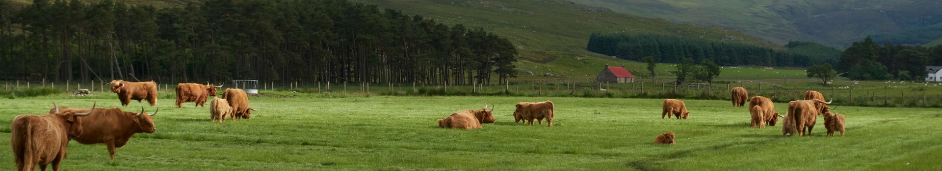 Reviews - Tenant Farming - Our work - Scottish Land Commission