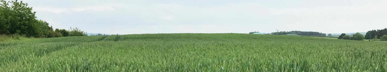 Tenant Farming - Our work - Scottish Land Commission