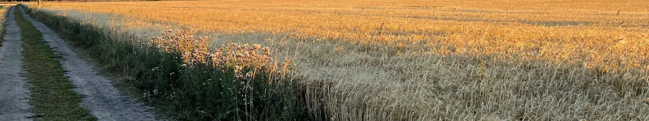 Reports - Tenant Farming - Our work - Scottish Land Commission