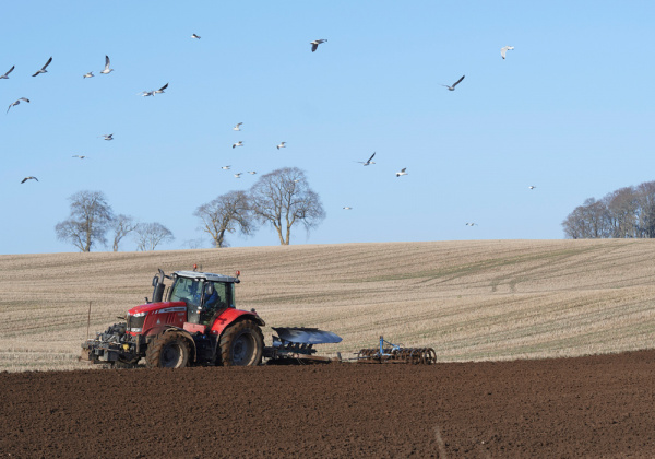 Tenant Farming - Our work - Scottish Land Commission